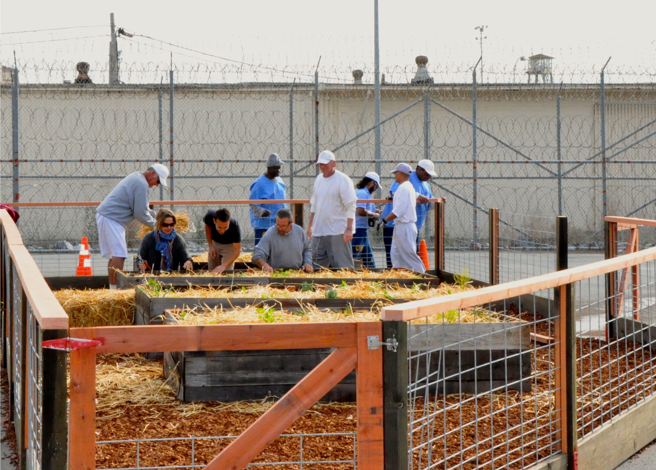 Insight Garden Program Sowing Seeds Nationwide | Indiegogo