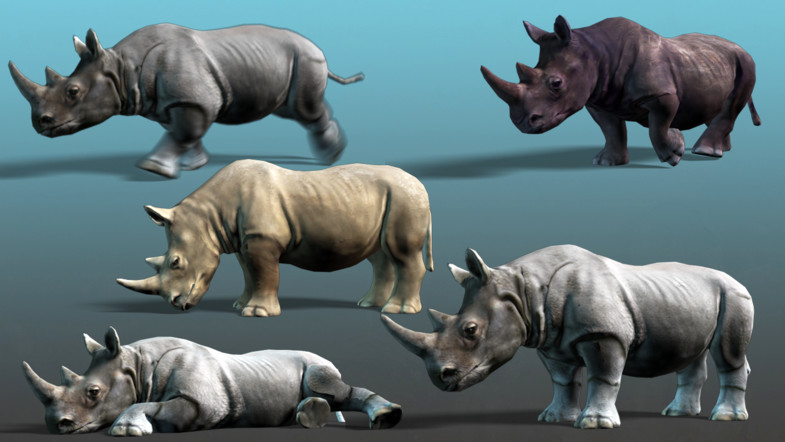 Wildlife Survival Game : Safari Edition | Indiegogo