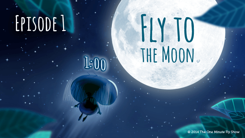 The One Minute Fly Show | Indiegogo