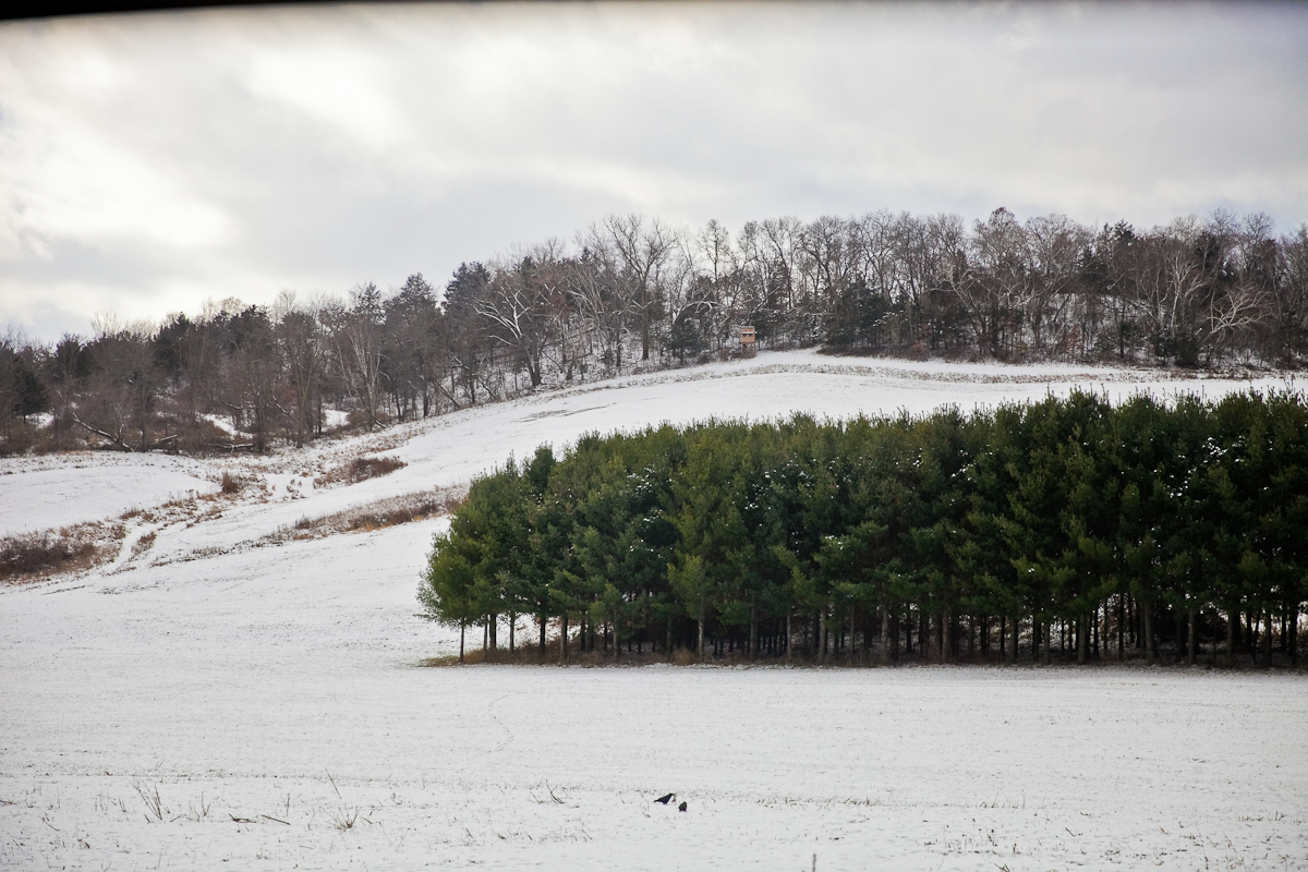 The Hodag film by Danielle Trussoni & Hadrien Royo | Indiegogo