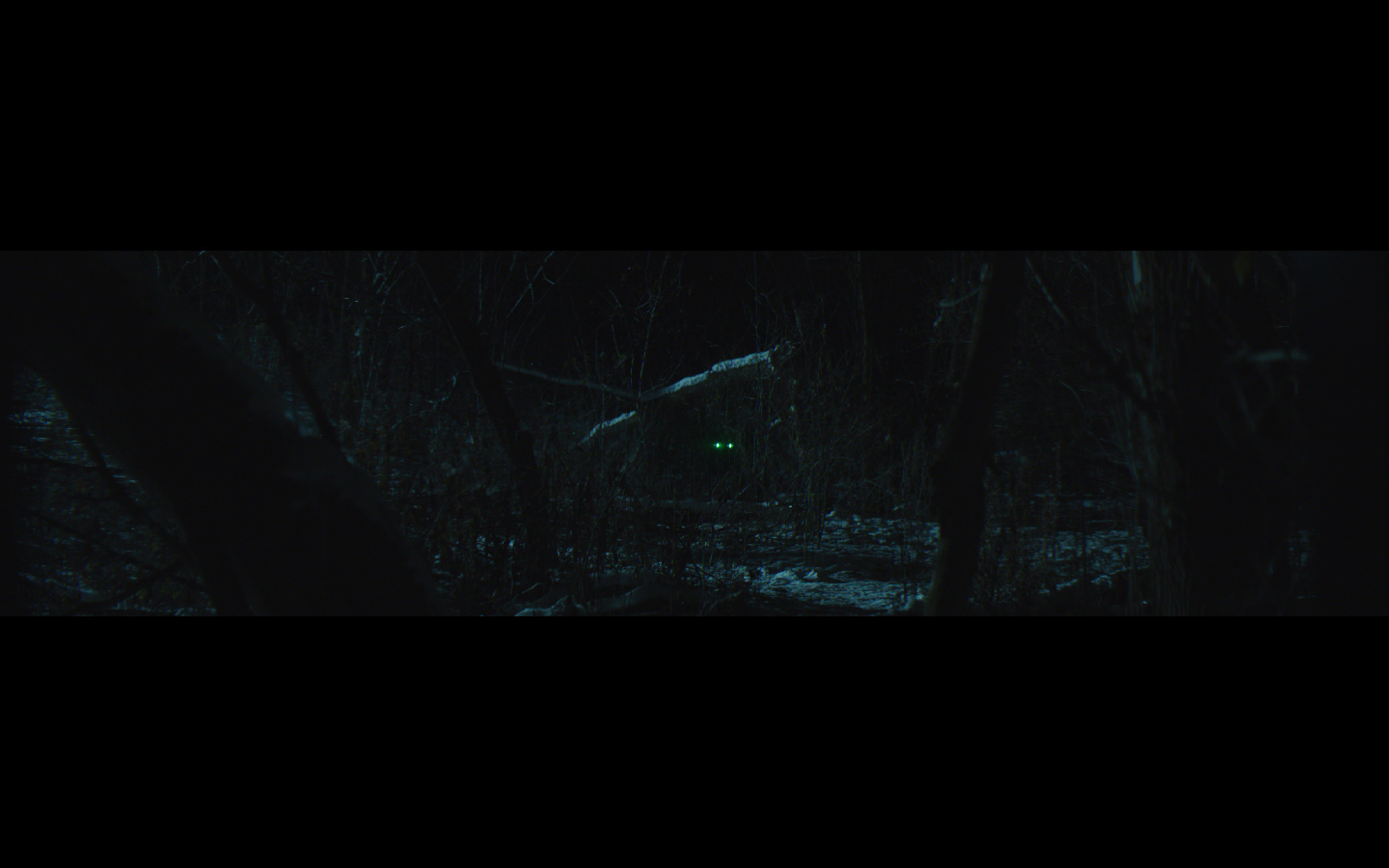 The Hodag film by Danielle Trussoni & Hadrien Royo | Indiegogo