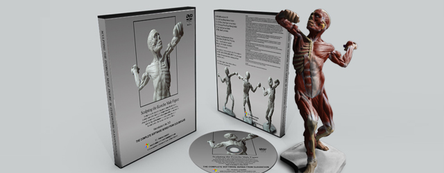 HIgh detailed écorché anatomical reference model. | Indiegogo