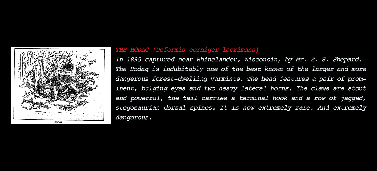 The Hodag film by Danielle Trussoni & Hadrien Royo | Indiegogo