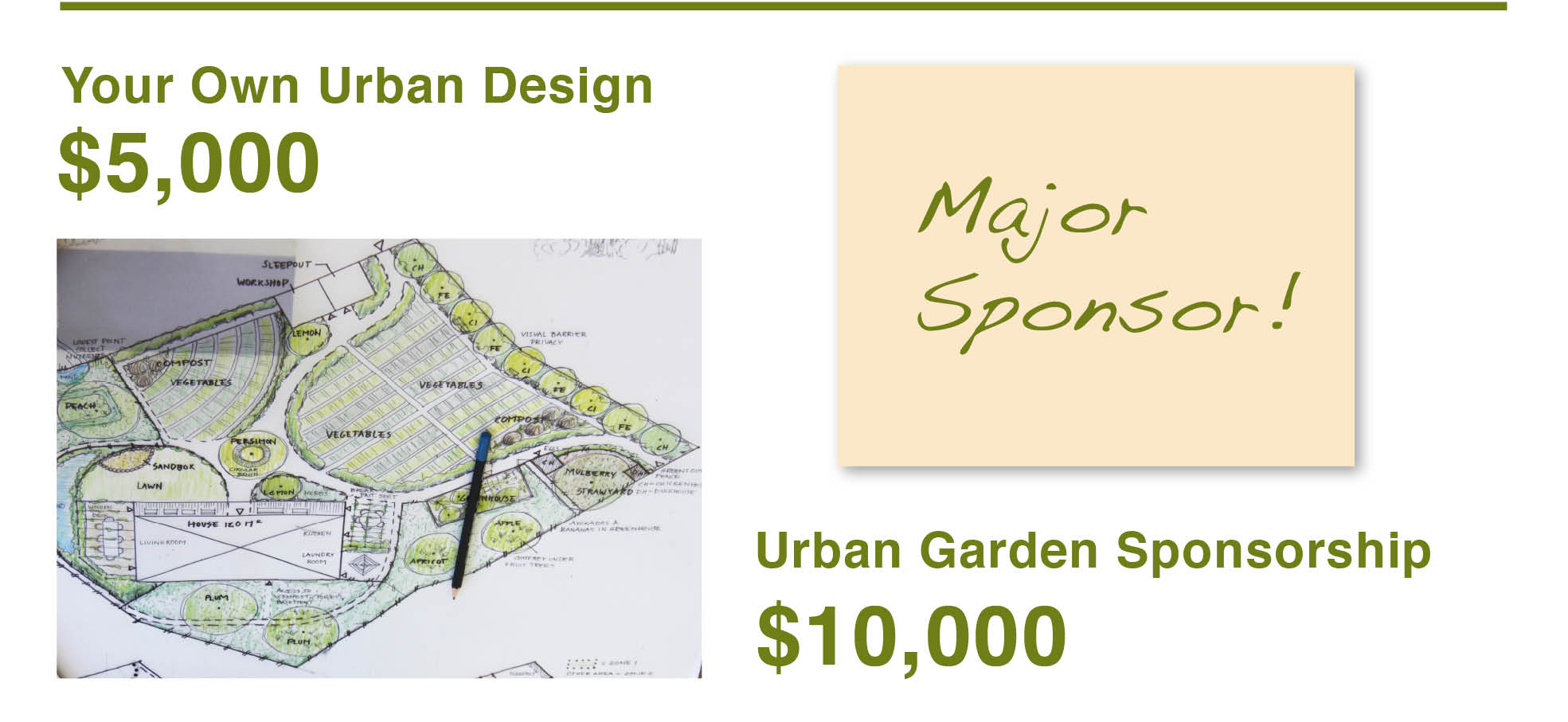 The 200sqm Urban Garden: A Food Security Model | Indiegogo