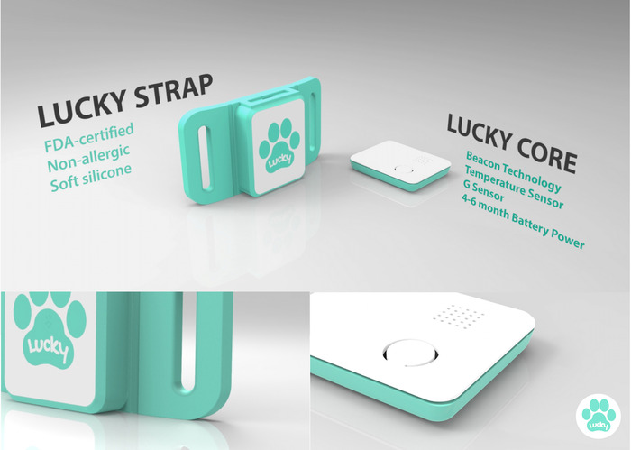 Lucky Tag: A Smart Way to Care For Your Dog | Indiegogo