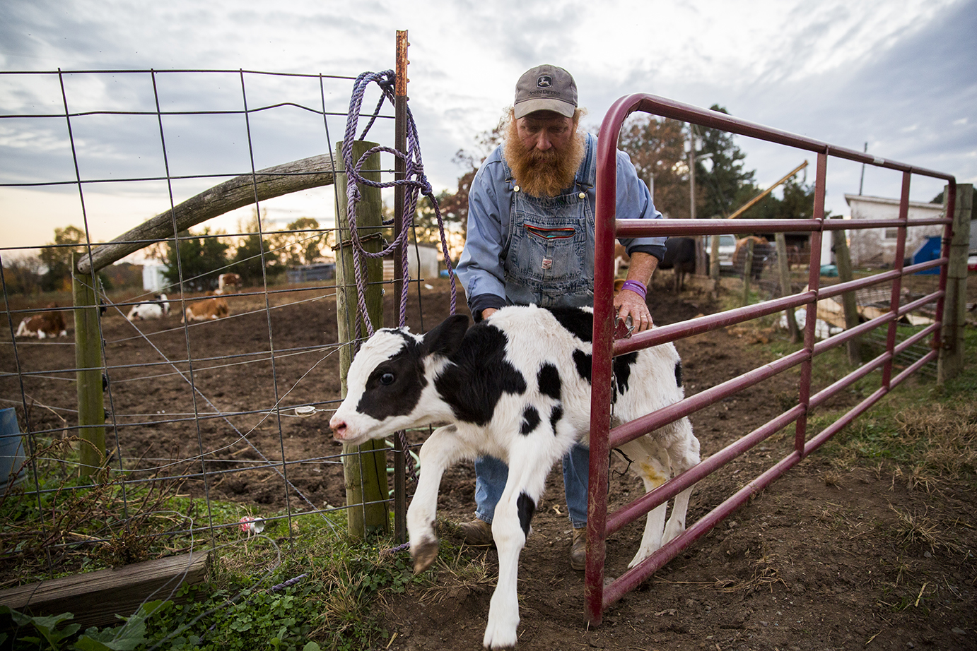 The Last Barn Dance - A Documentary Film | Indiegogo