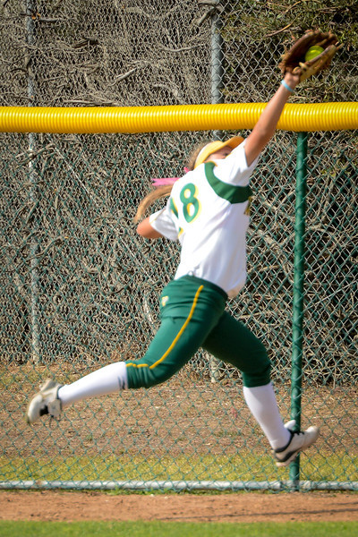 Fastpitch World | Indiegogo