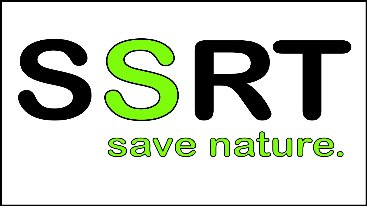 SSRT : World's First Smart Solar Roof Tile | Indiegogo