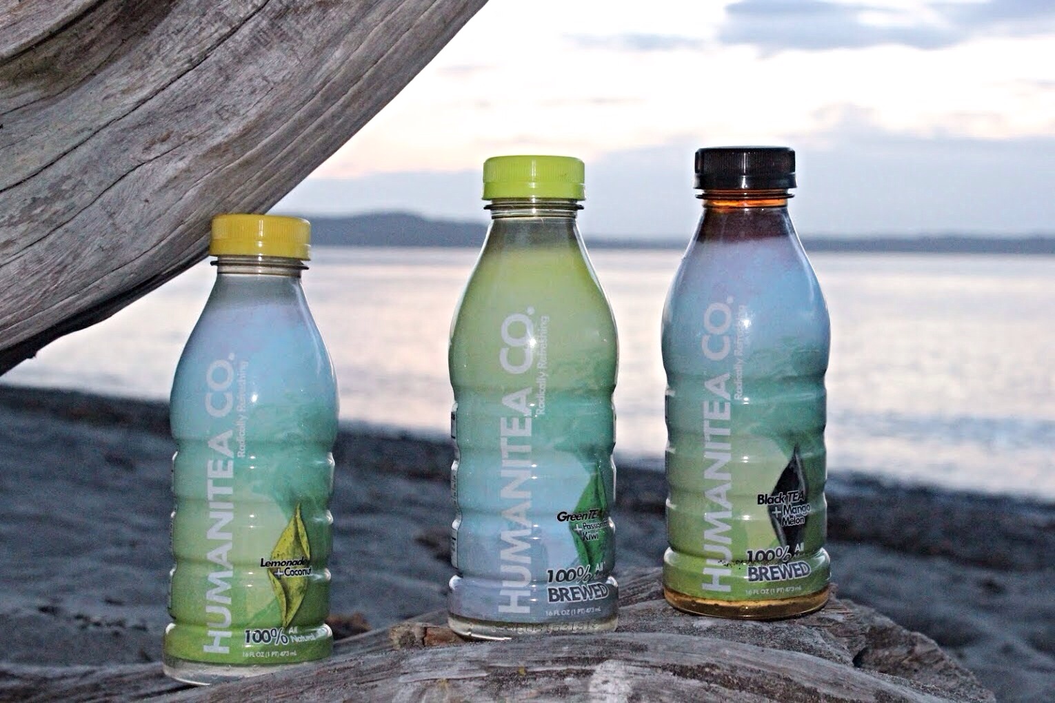 HumaniTEA | Indiegogo