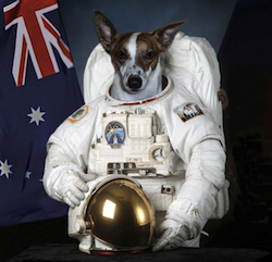 Press Uncuffed | Indiegogo