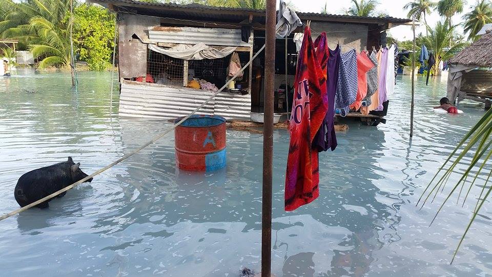 Clean Water for Cyclone Devastated Island Families | Indiegogo