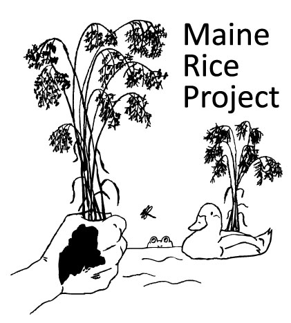Maine Rice Project | Indiegogo