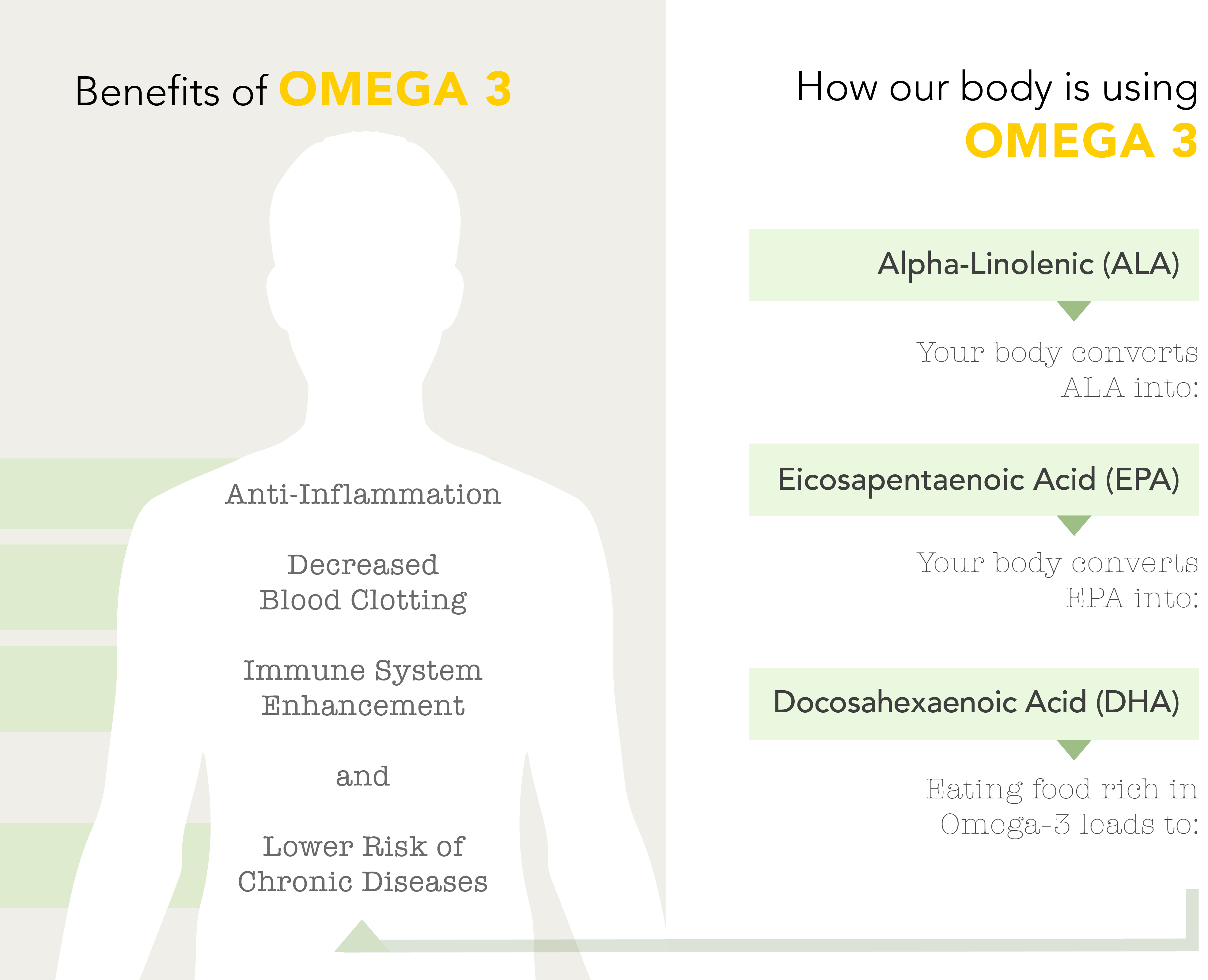 Sustainable Algae Superfood For Vegetarian Diet | Indiegogo