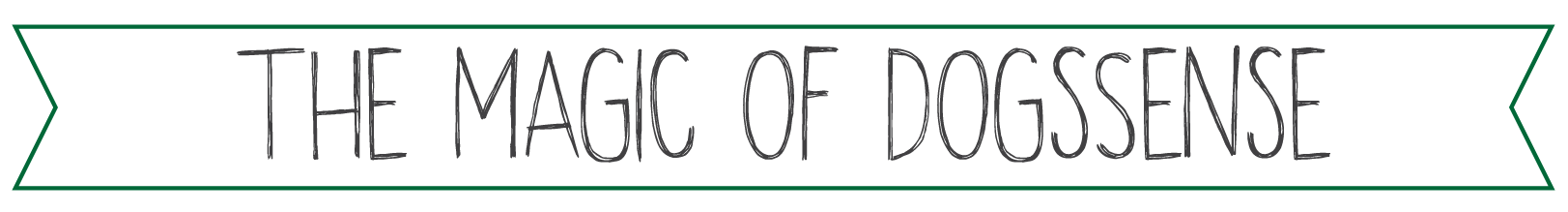 DogsSense: Do you have the Dogs' Sense? Go get it! | Indiegogo