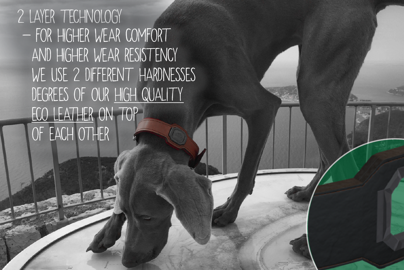 DogsSense: Do you have the Dogs' Sense? Go get it! | Indiegogo