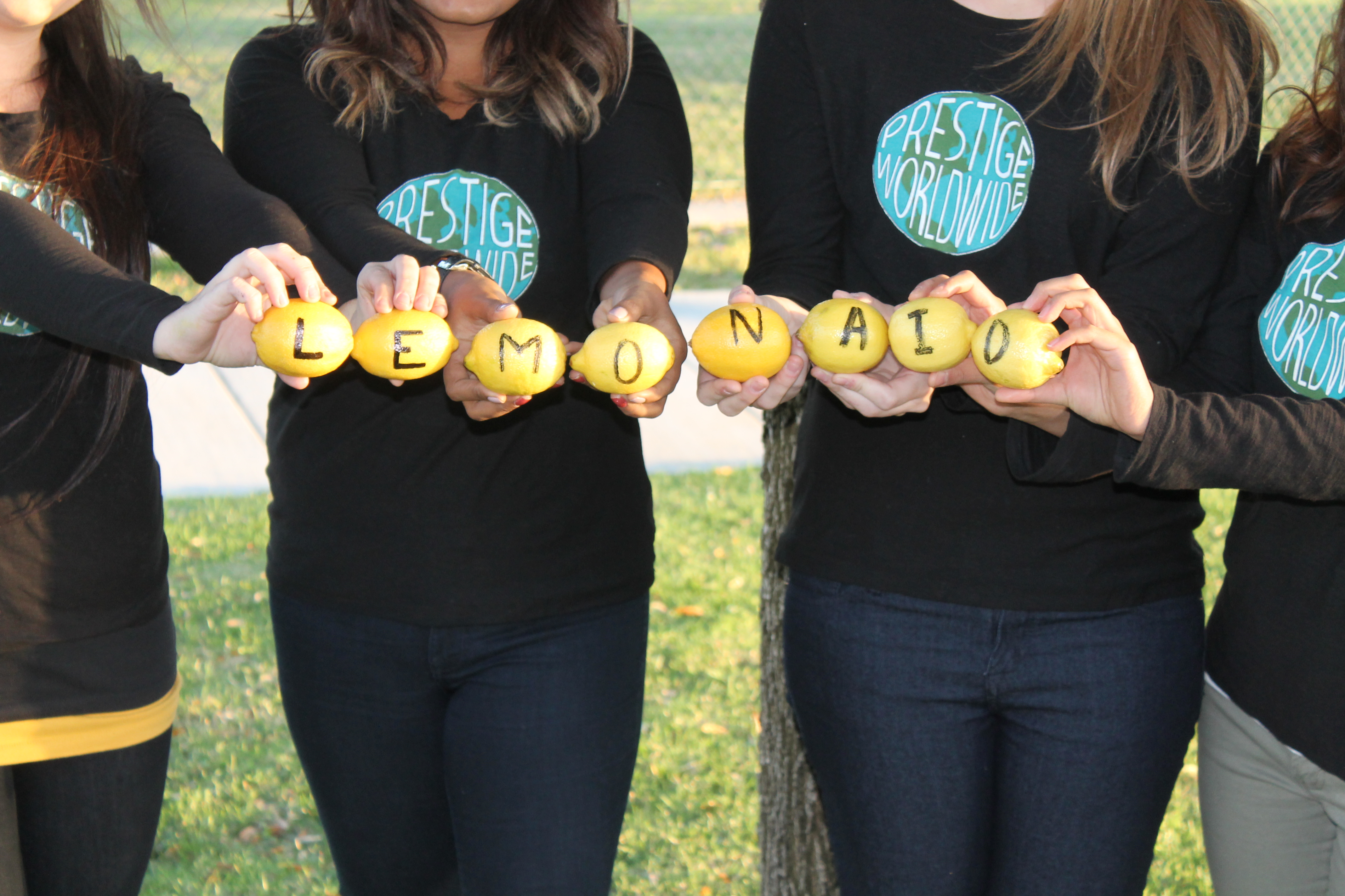 The Lemon Aid Project | Indiegogo