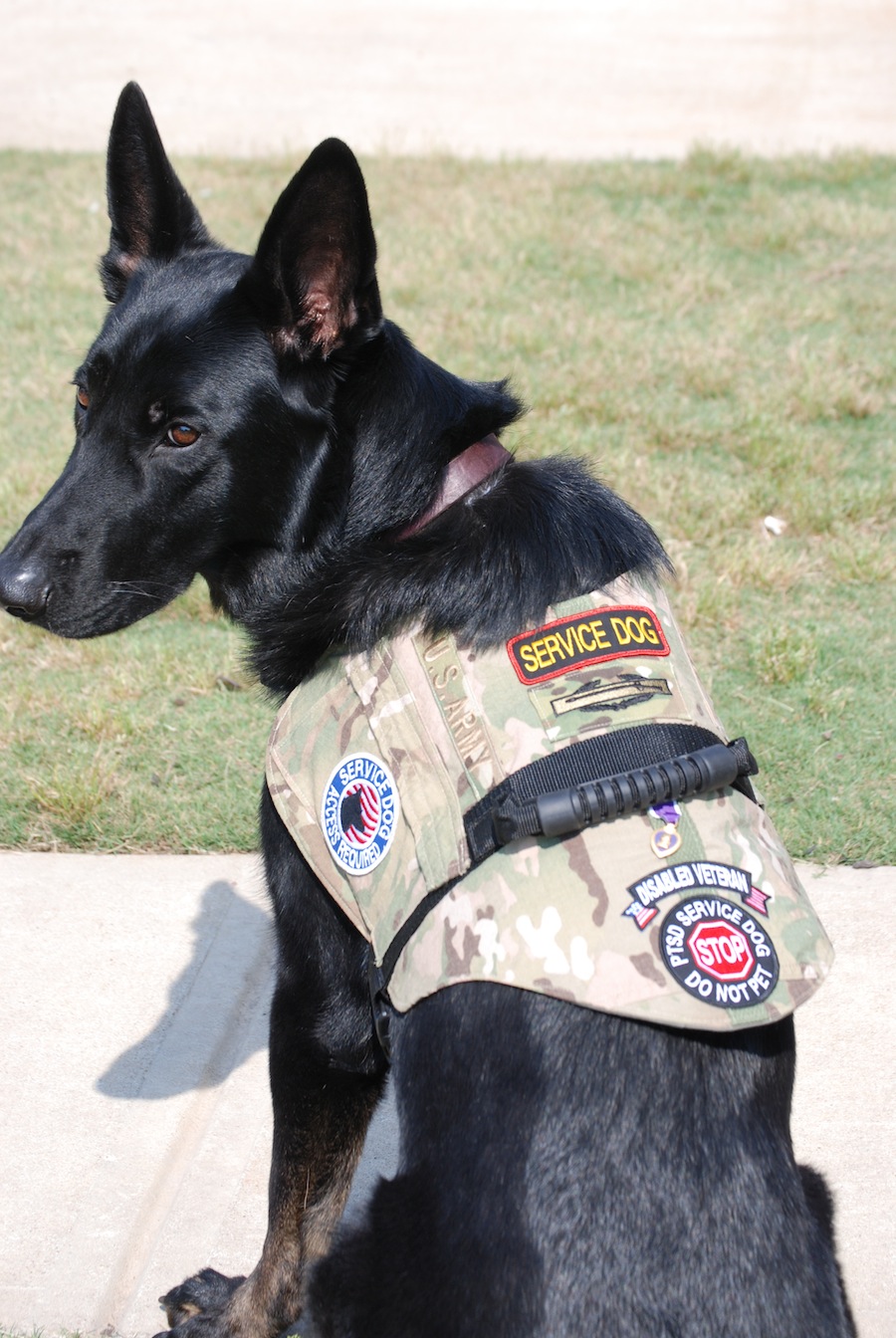 Dog Vests 4 Vets | Indiegogo