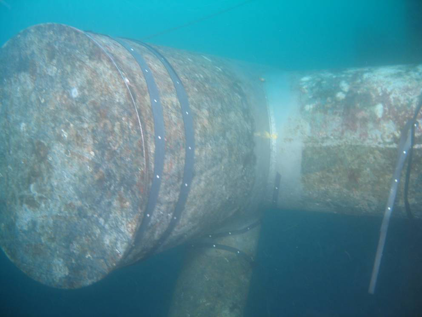 Cirri transforms photos to high rez 3D models: from microscopic to a ...