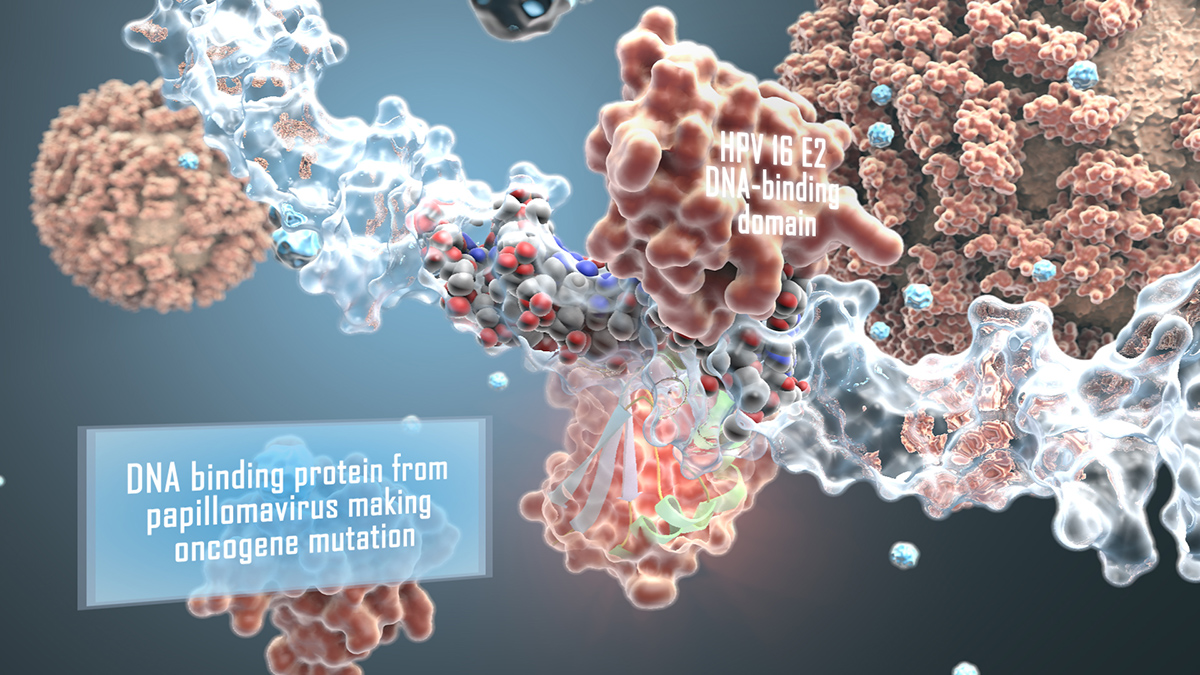 How cancer develops: detailed animation | Indiegogo