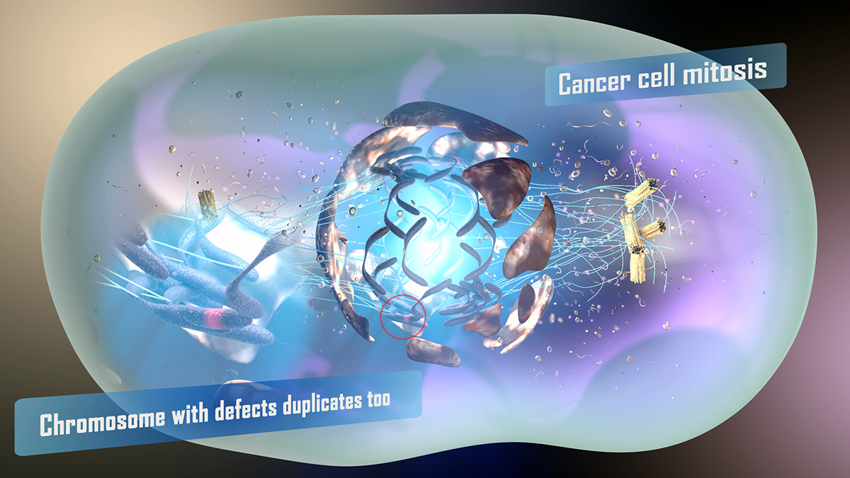 How cancer develops: detailed animation | Indiegogo