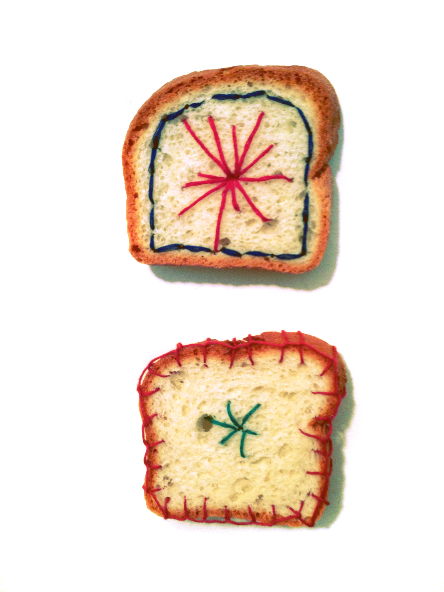 Inedible Recipes: Beautiful Food | Indiegogo