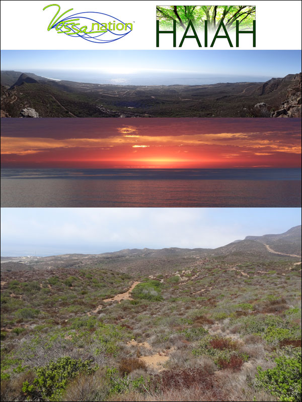 Build a Sustainable HAIAH - Healing Art Installation As Home | Indiegogo