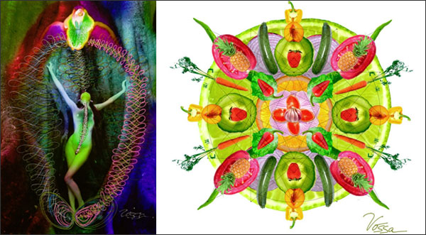 Build a Sustainable HAIAH - Healing Art Installation As Home | Indiegogo