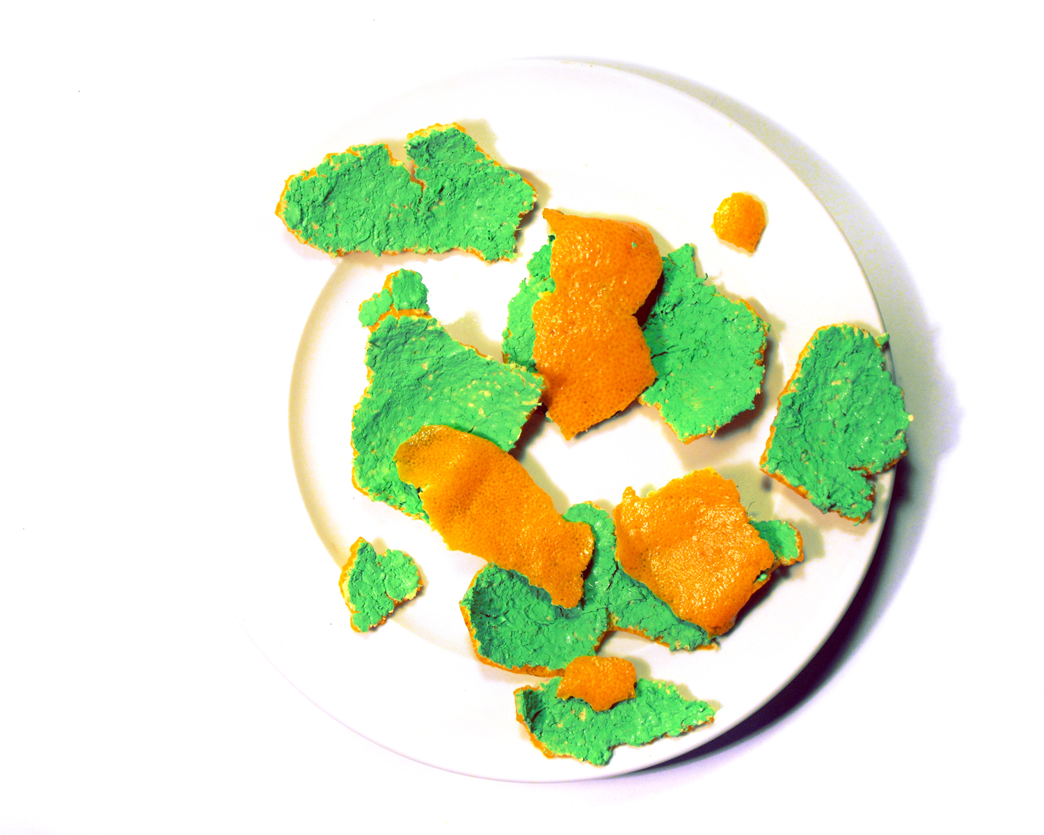 Inedible Recipes: Beautiful Food | Indiegogo