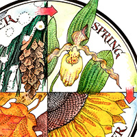 Mackinac Island Treasure Hunt Card and Board Games | Indiegogo