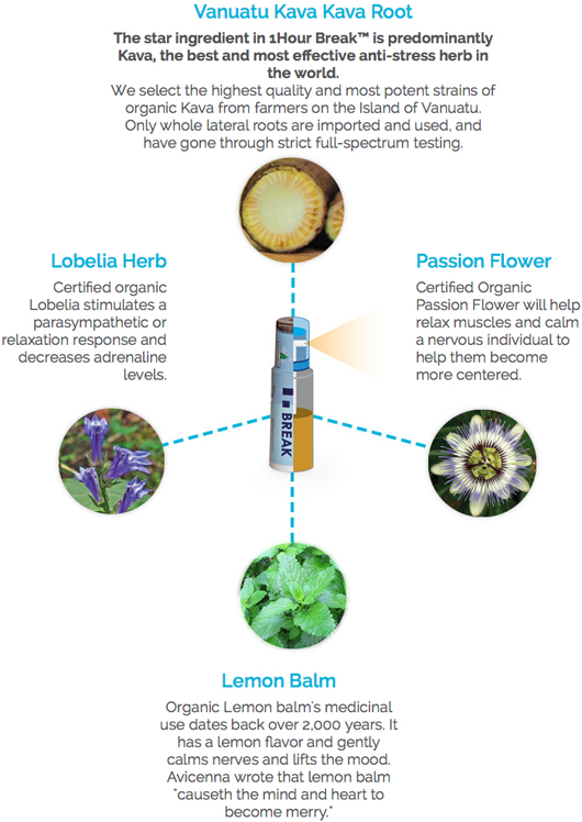 1Hour Break Everyday Stress & Anxiety Relief Spray | Indiegogo