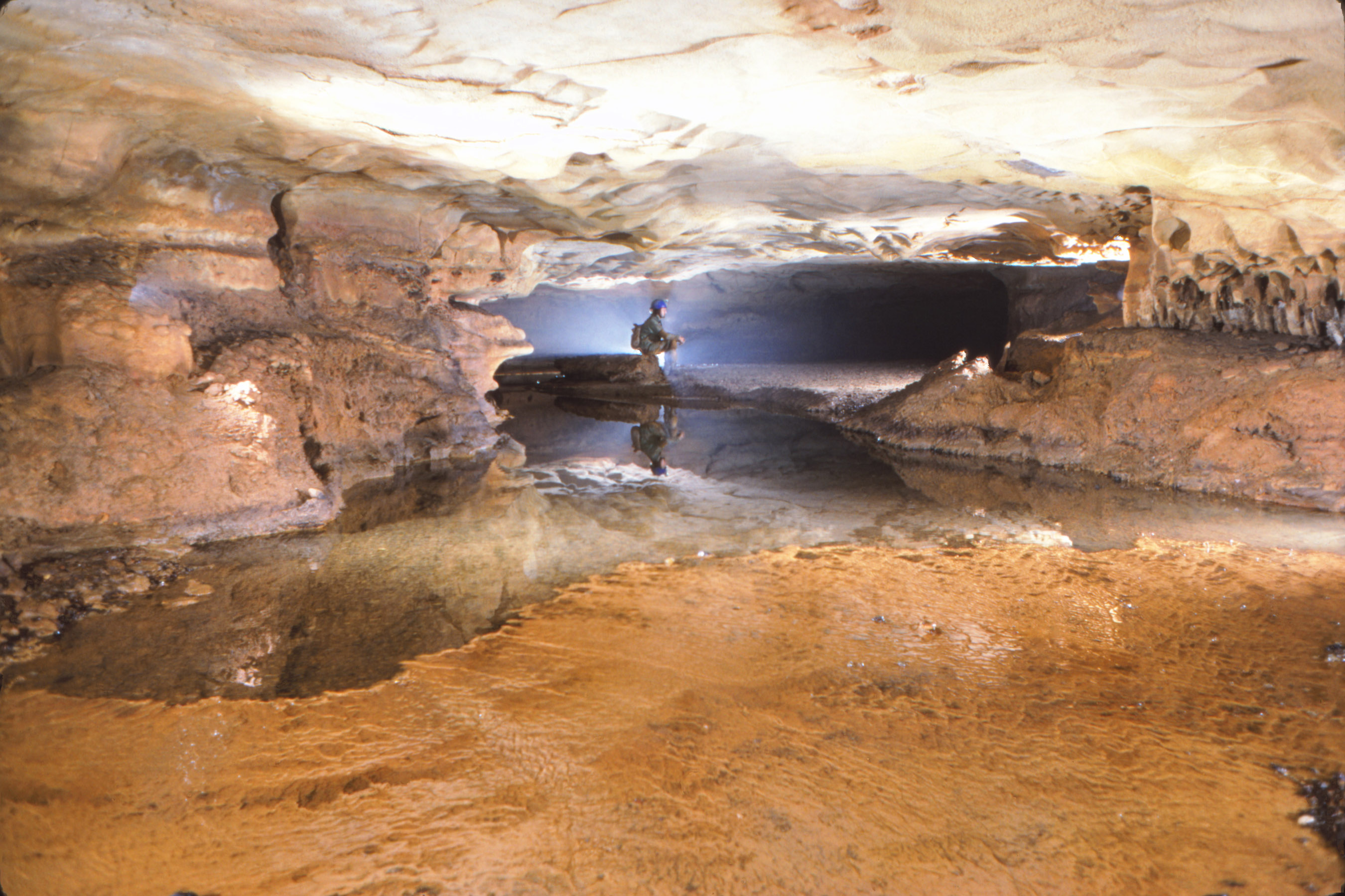 Fern Cave: The Discovery, Exploration, and History of Alabama's ...