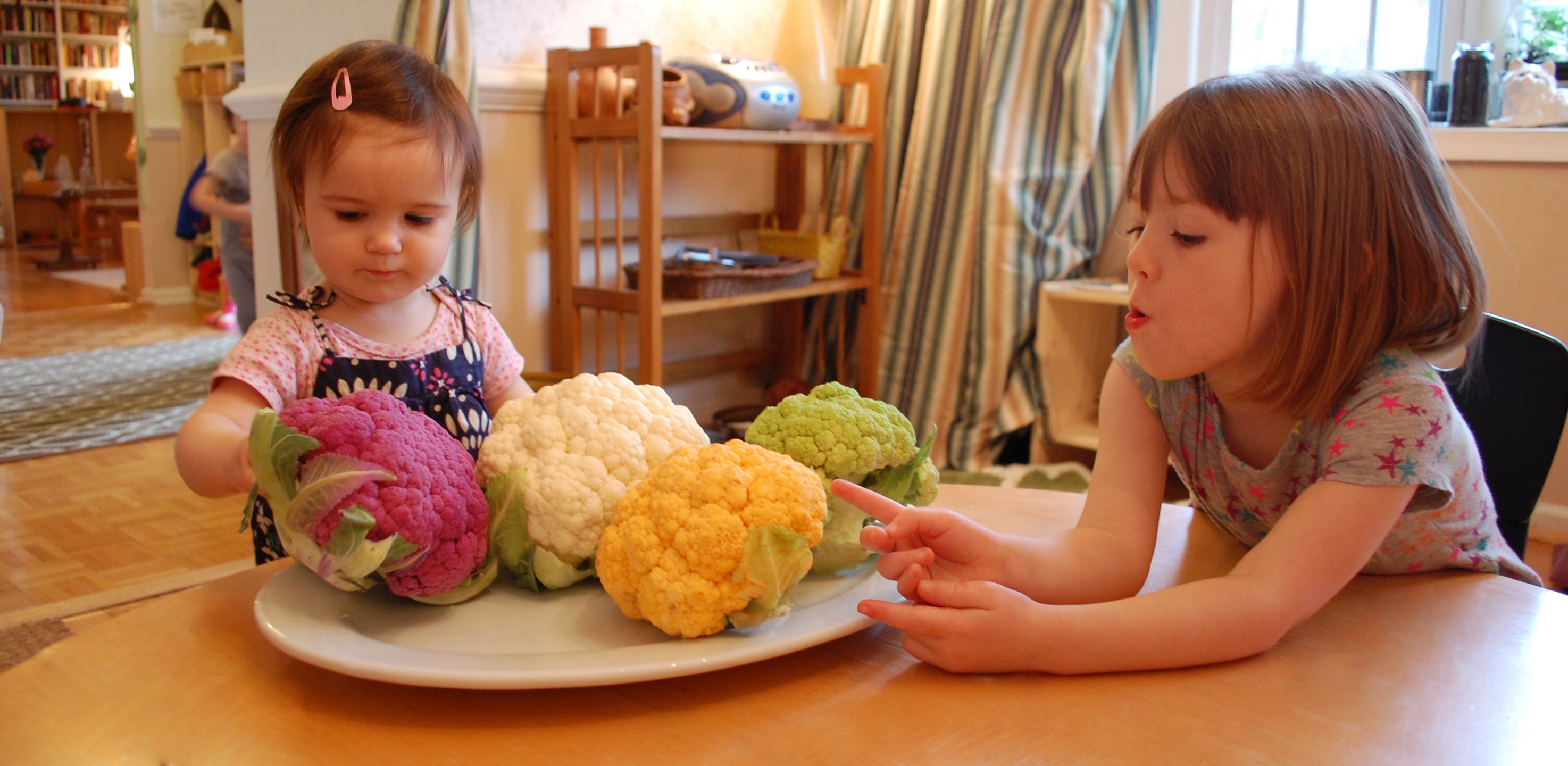 Montessori Infant Nido Environment: Educating Our Youngest Citizens ...