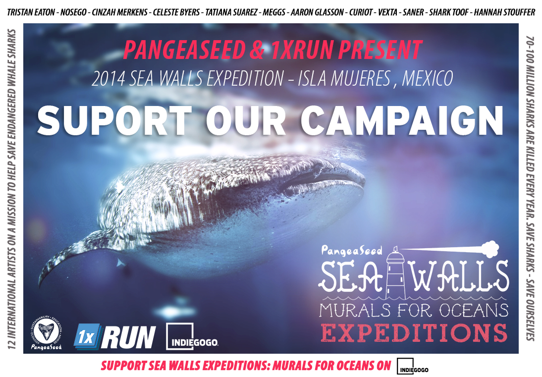 Sea Walls Expeditions: Murals For Oceans | Indiegogo