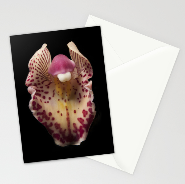 The Petal Project | Indiegogo