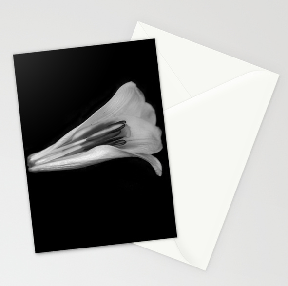 The Petal Project | Indiegogo