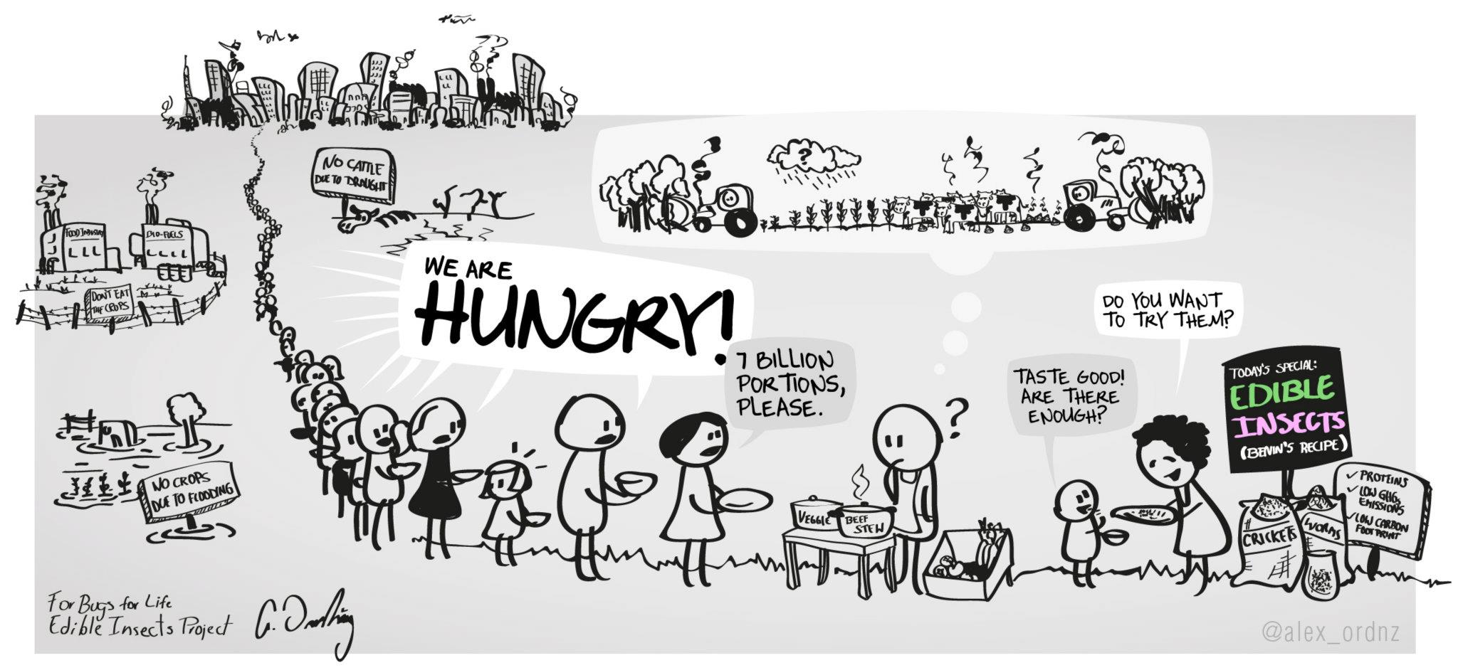 Bugs for Life - Promoting Edible Insects For Food Security | Indiegogo