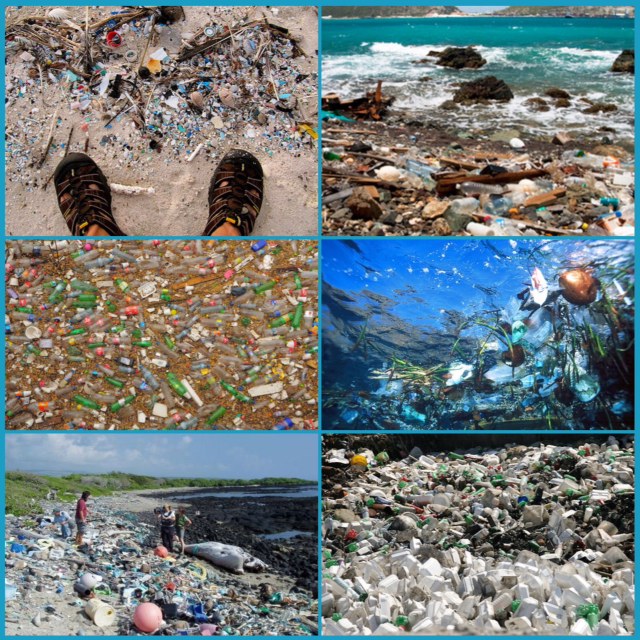 Green With Tiffany On A Plastic Pollution Expedition - Bermuda To Iceland | Indiegogo