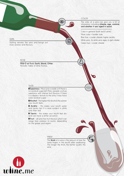 The Wine Academy: The Easiest Way To Learn About Wine! | Indiegogo