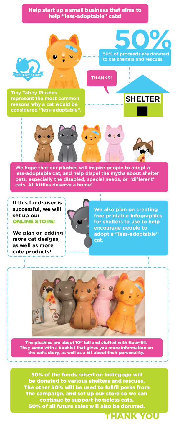 The Tiny Tabby: Cat Plushies to help less-adoptable cats! | Indiegogo