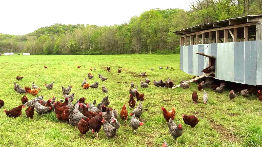 Tandem Farm Company | Indiegogo