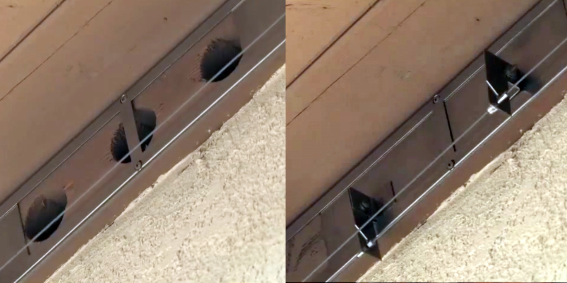 Fire Safety Starts with Ember Deflector--Safeguards Lives, Homes ...