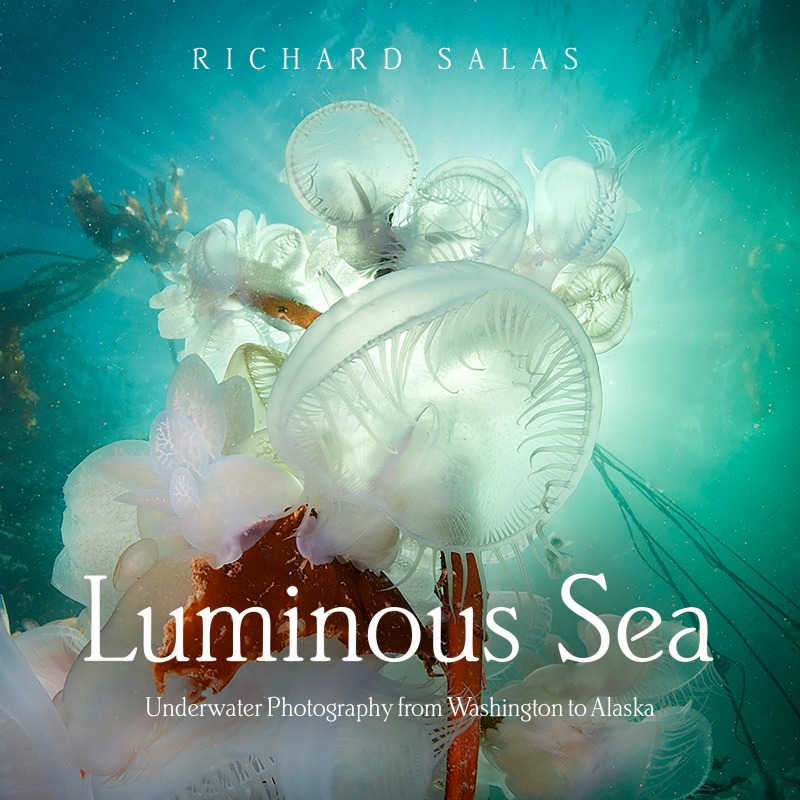 Luminous Sea: Underwater Photography Book | Indiegogo