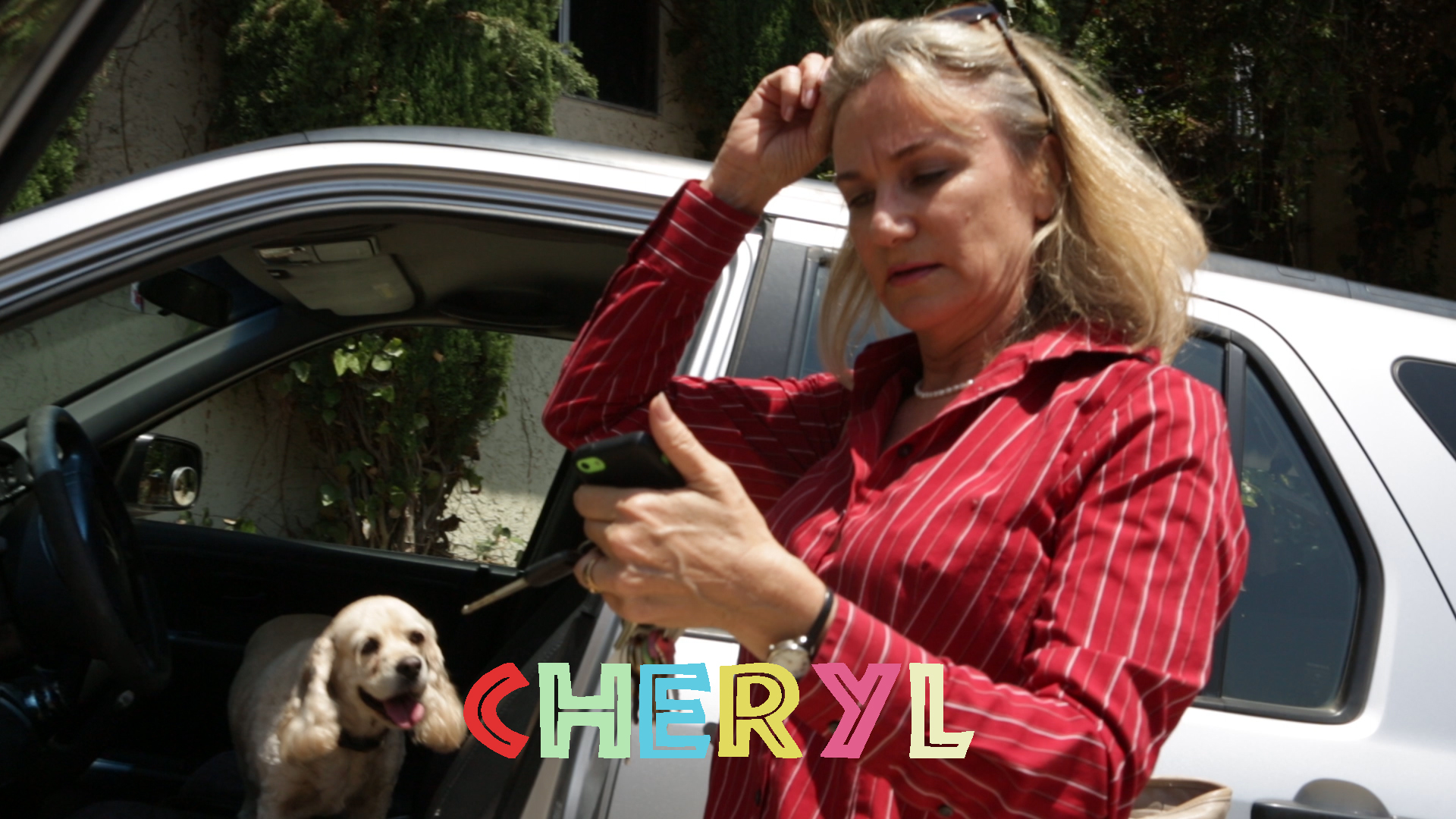 Zero Copula | Indiegogo