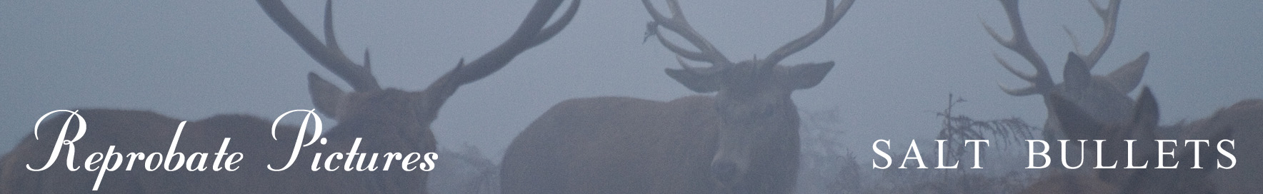 Salt Bullets - Feature Film | Indiegogo