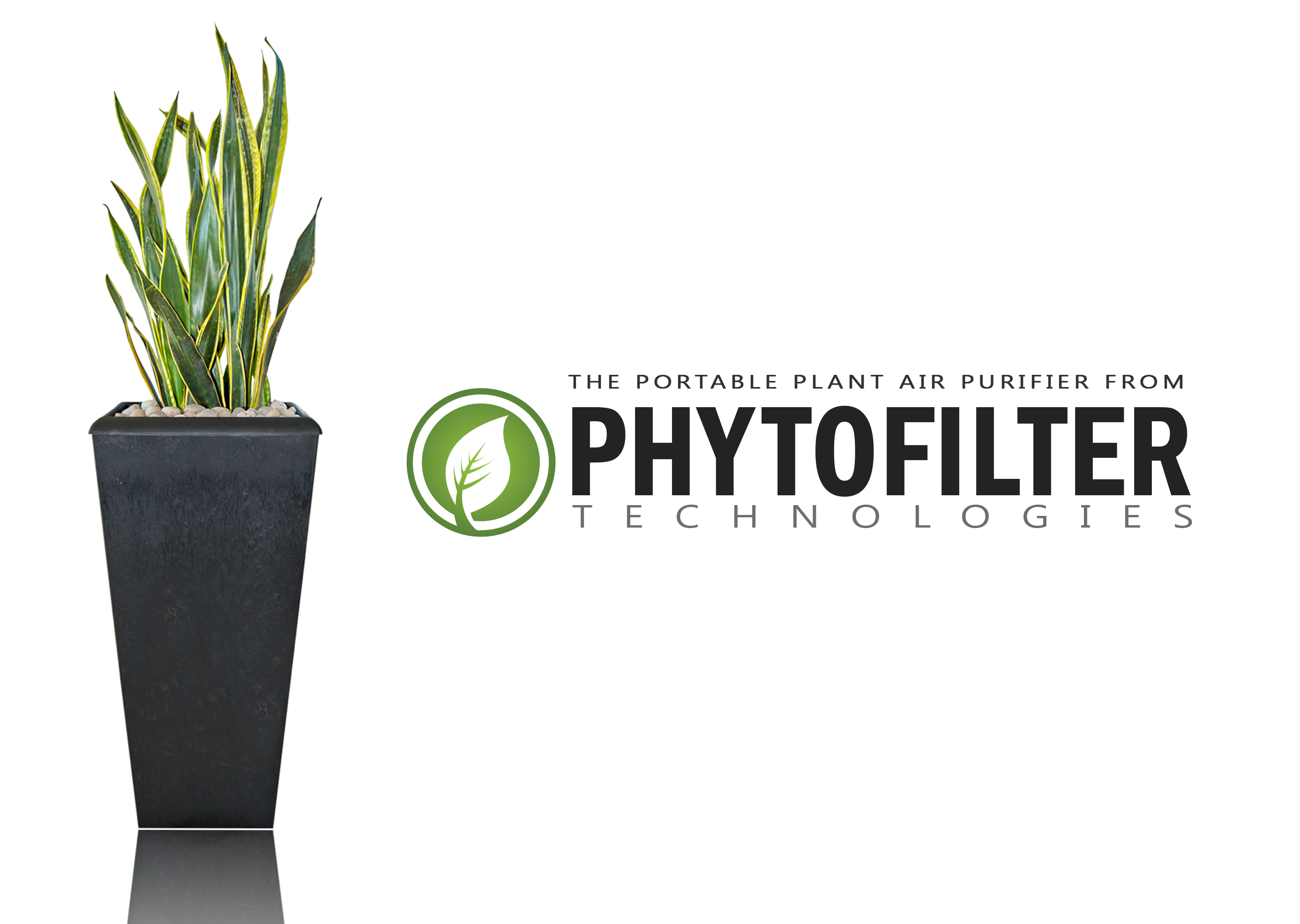 NASA's New Magic Plant Which Eliminates Allergies | Indiegogo