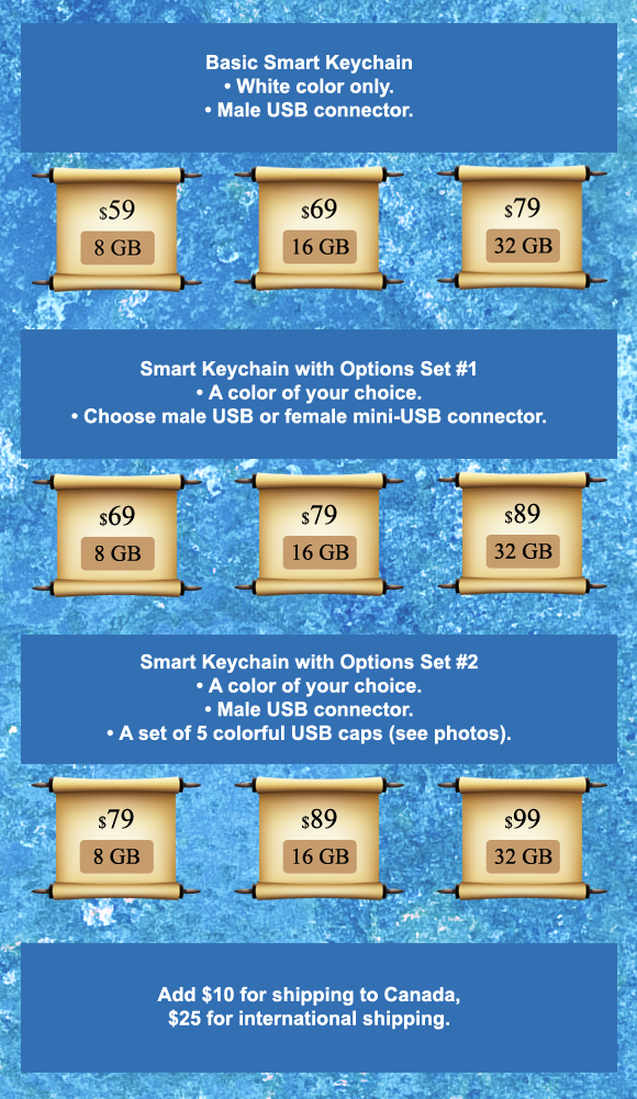 Smart Keychain: USB Memory, Key Finder, Calendar and Email Retriever ...