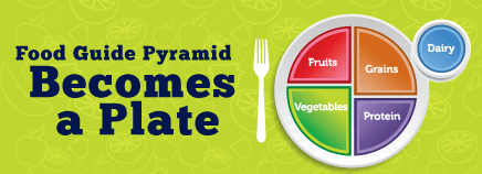 Plate my Meal | Indiegogo