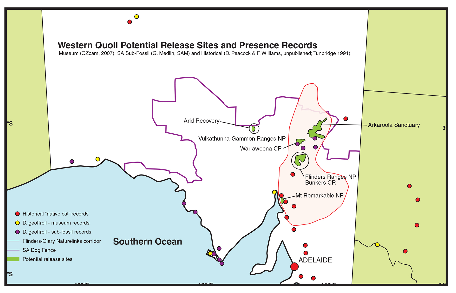 Help save the Western Quoll from extinction | Indiegogo