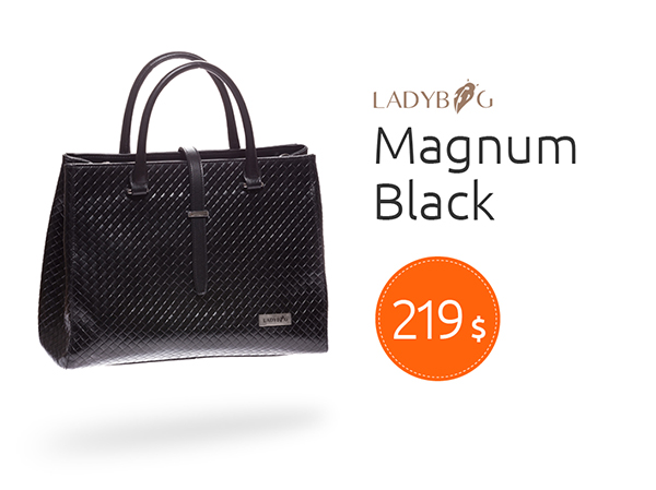 LADYBAG: the first multifunctional heated handbag | Indiegogo