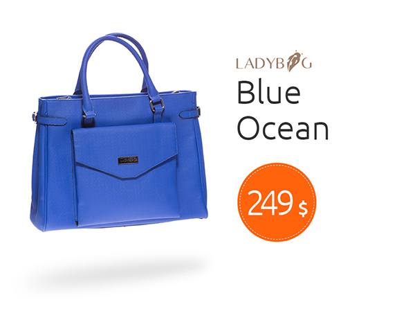 LADYBAG: the first multifunctional heated handbag | Indiegogo